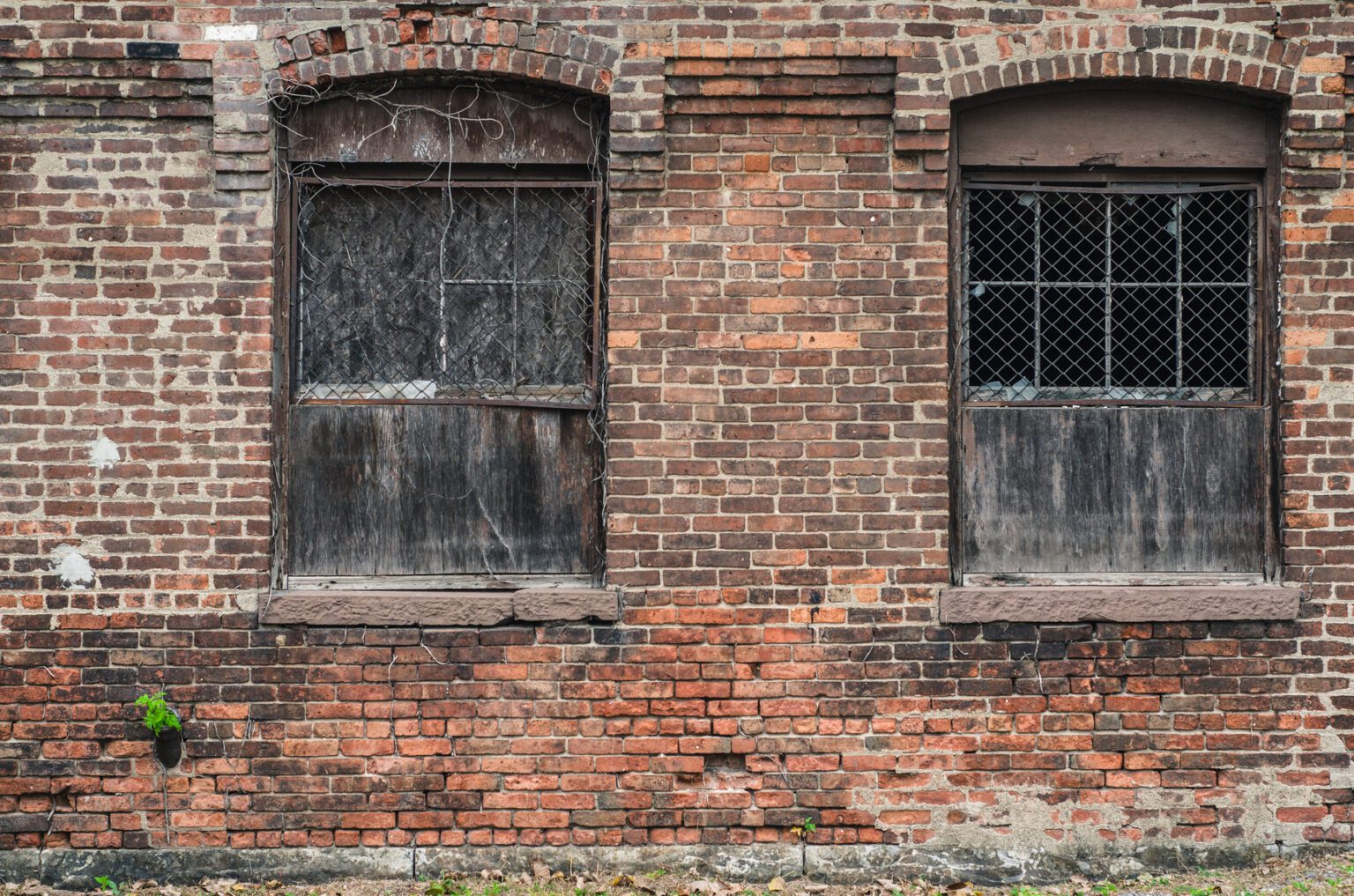 Home - Wyche Law Firm