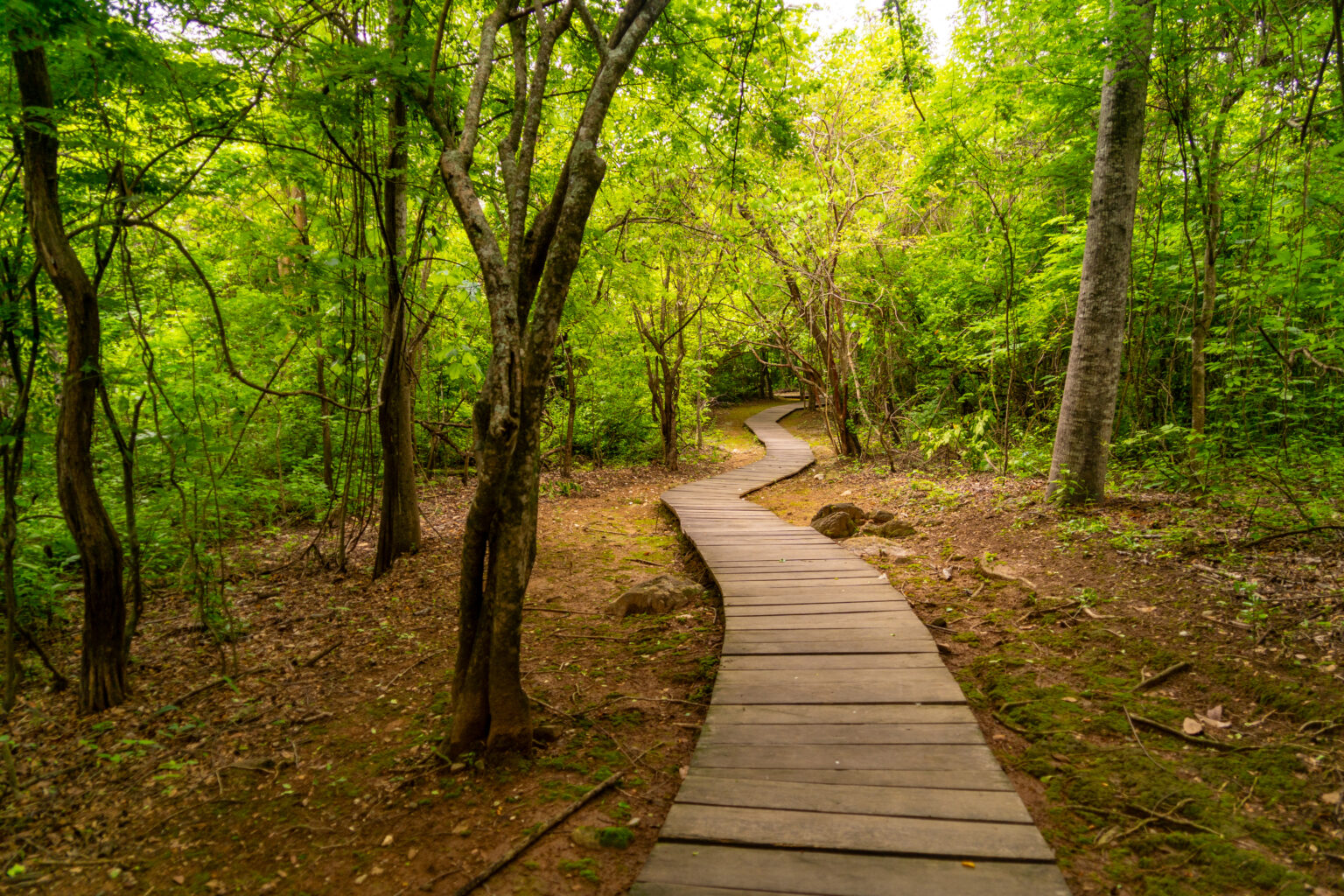 About Wyche - Wyche Law Firm